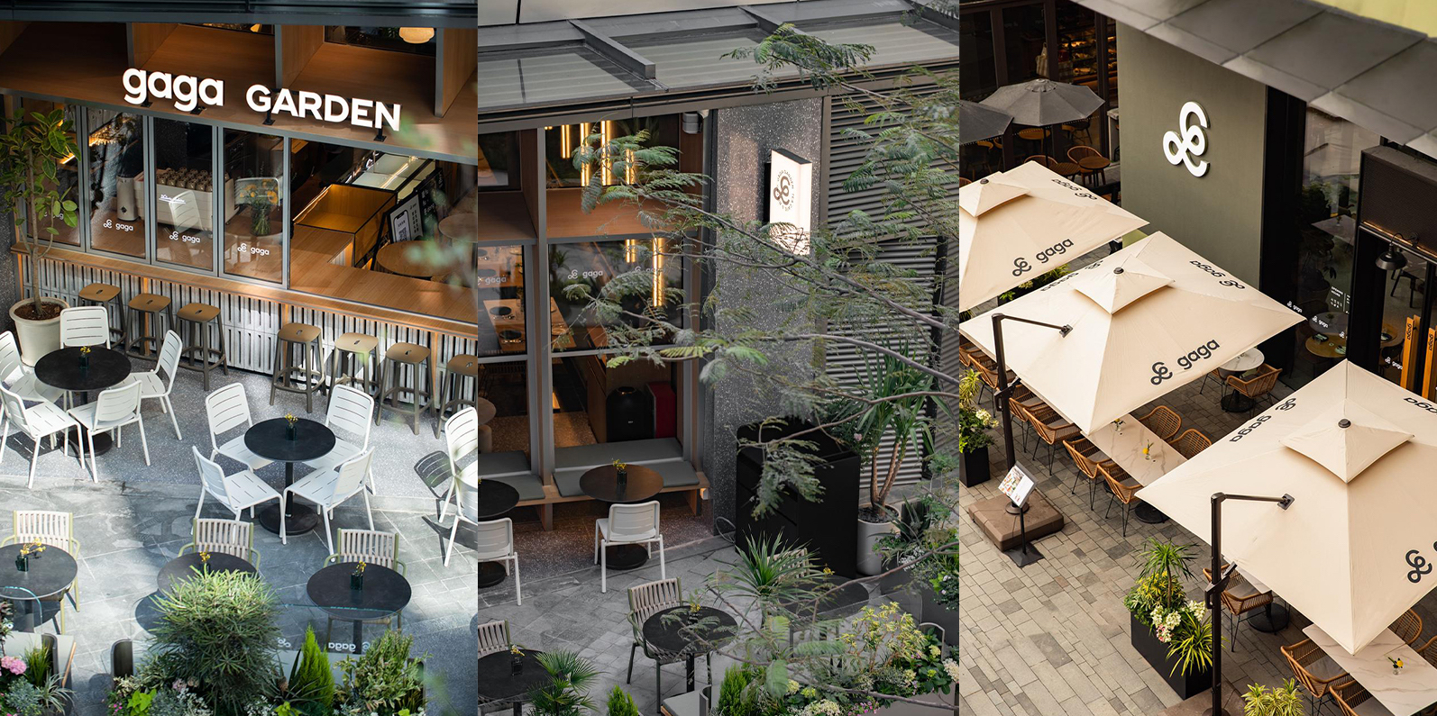 gaga：以食物为舟，通往生活方式的目的地｜专题《10》 | 品牌星球BrandStar